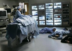 Code noir | Wiki Grey's Anatomy | Fandom