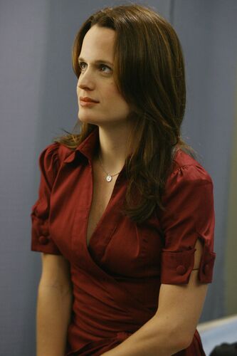 Rebecca Pope | Grey's Anatomy Universe Wiki | Fandom