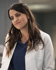 Monica Beltran | Grey's Anatomy Universe Wiki | Fandom