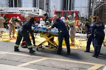 Liz | Grey's Anatomy Universe Wiki | Fandom