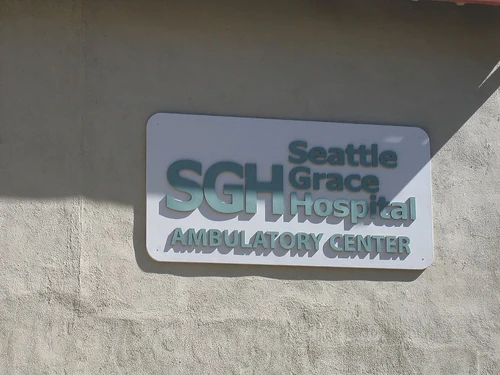 Pazienti del Seattle Grace | Grey's Anatomy Wiki | Fandom