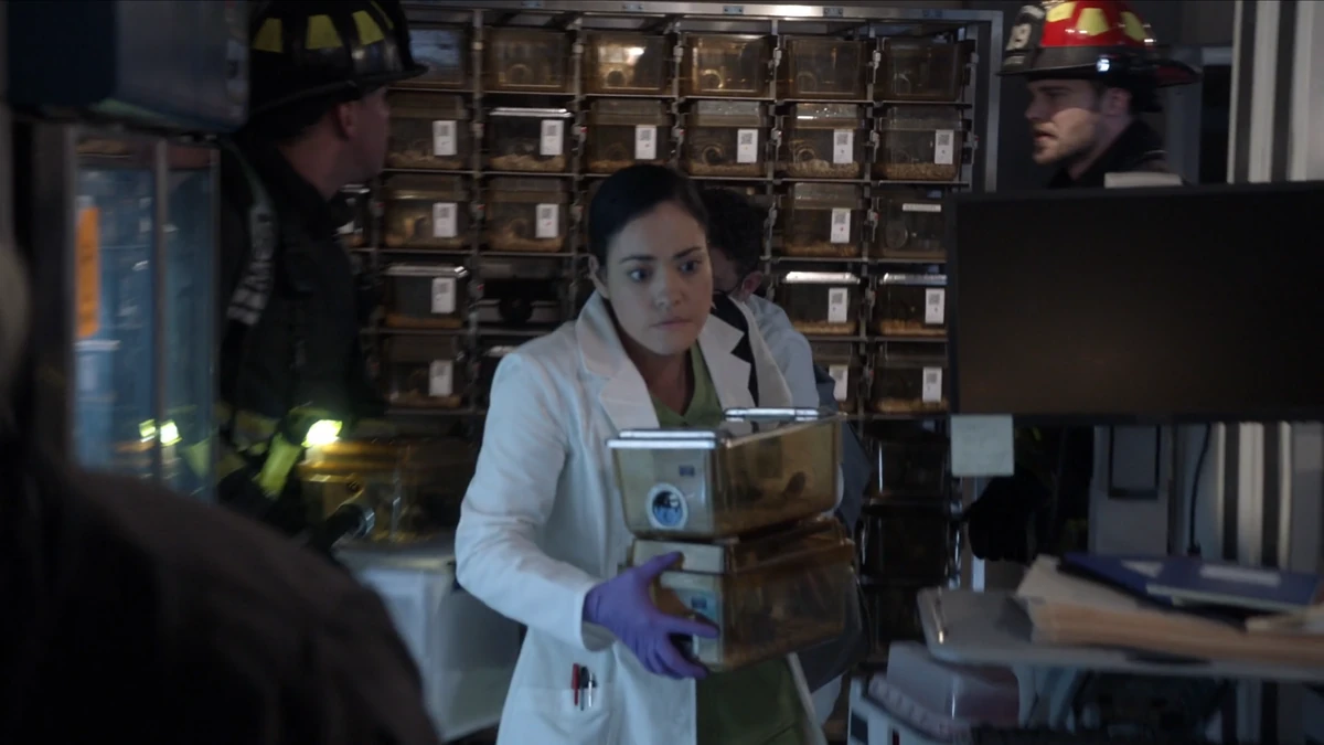 Monica | Grey's Anatomy Universe Wiki | Fandom