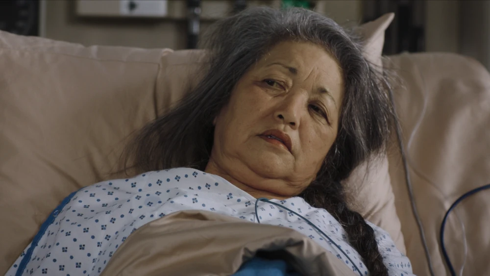 Lisa Saito | Universo Grey's Anatomy Wiki | Fandom