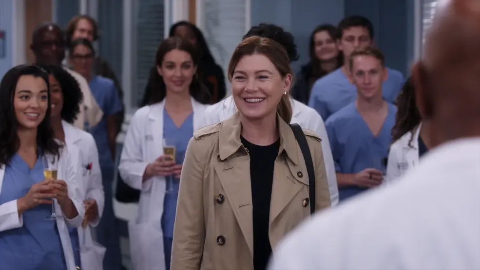 La Boda De Meredith Y Fox