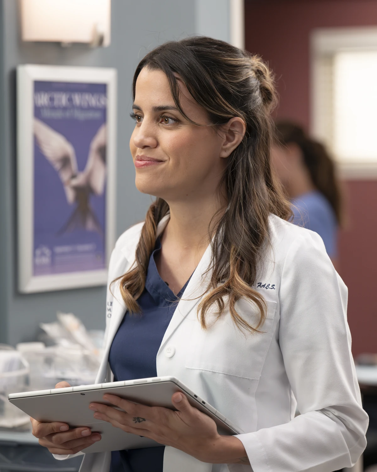 Monica Beltran | Grey's Anatomy Universe Wiki | Fandom
