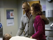 Wallace Anderson | Grey's Anatomy Universe Wiki | Fandom