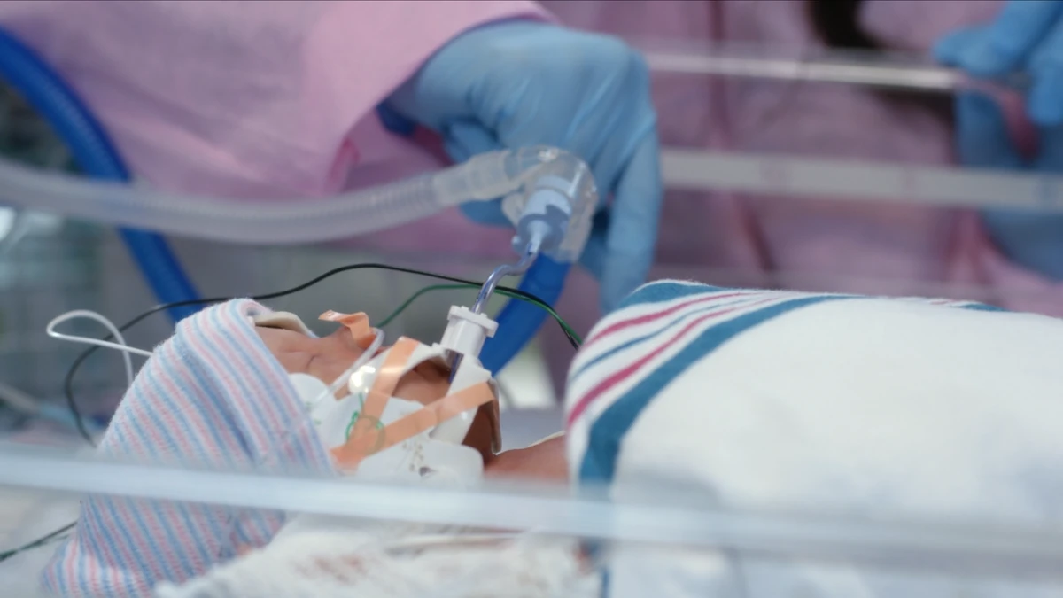 Arlo Fischer | Grey's Anatomy Universe Wiki | Fandom