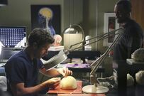 Thriller | Grey's Anatomy Universe Wiki | Fandom