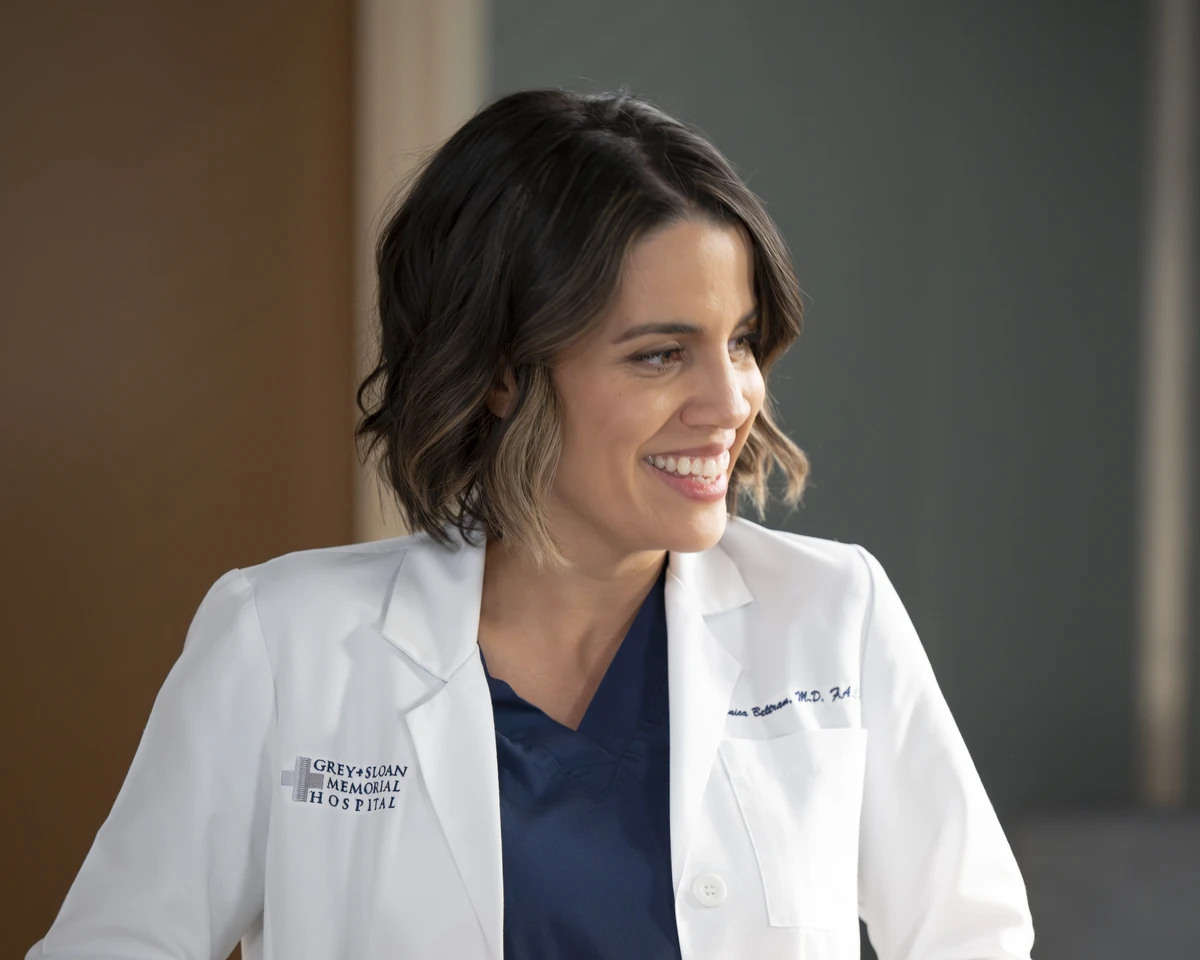 Monica Beltran | Grey's Anatomy Universe Wiki | Fandom