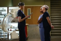 Nicole Herman | Grey's Anatomy Universe Wiki | Fandom