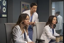 Monica Beltran | Grey's Anatomy Universe Wiki | Fandom