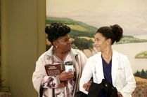 Diane Pierce | Grey's Anatomy Universe Wiki | Fandom