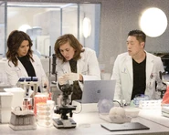 Kai Bartley | Grey's Anatomy Universe Wiki | Fandom