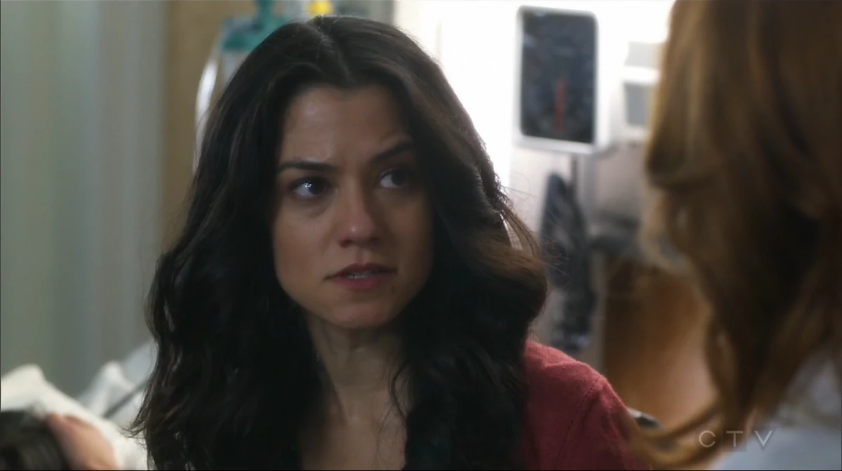 Risa Hodges | Grey's Anatomy Universe Wiki | Fandom