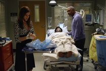 Adele Webber | Grey's Anatomy Universe Wiki | Fandom