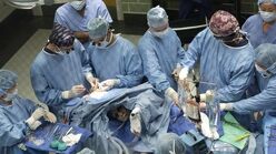 Allison | Grey's Anatomy Universe Wiki | Fandom