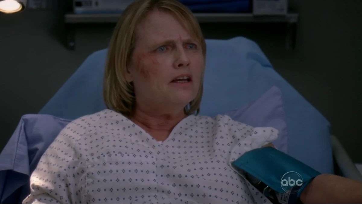 Pam Nelson | Grey's Anatomy Universe Wiki | Fandom