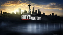 (Si lo quieres) Hazlo tú mismo | Universo Grey's Anatomy Wiki | Fandom