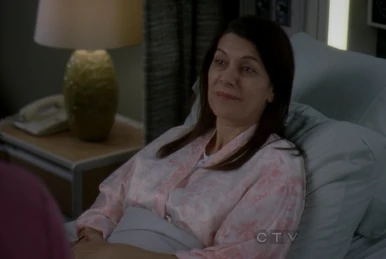 Marina Sirtis, Grey's Anatomy