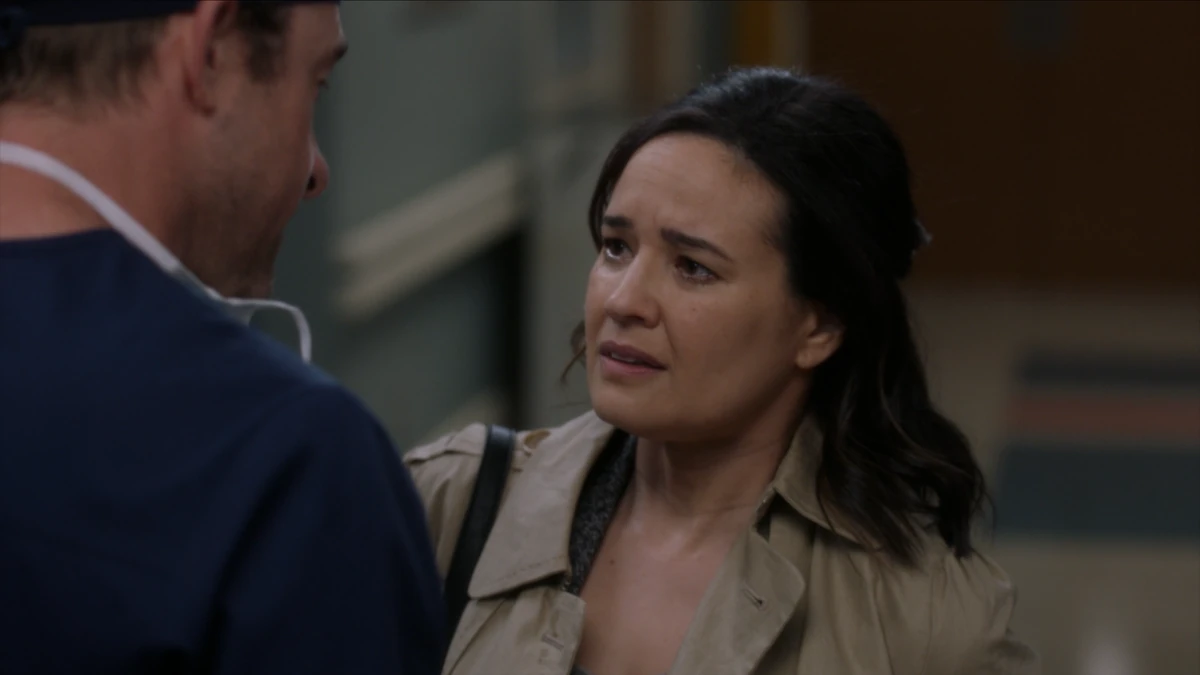 Jan Taylor | Grey's Anatomy Universe Wiki | Fandom