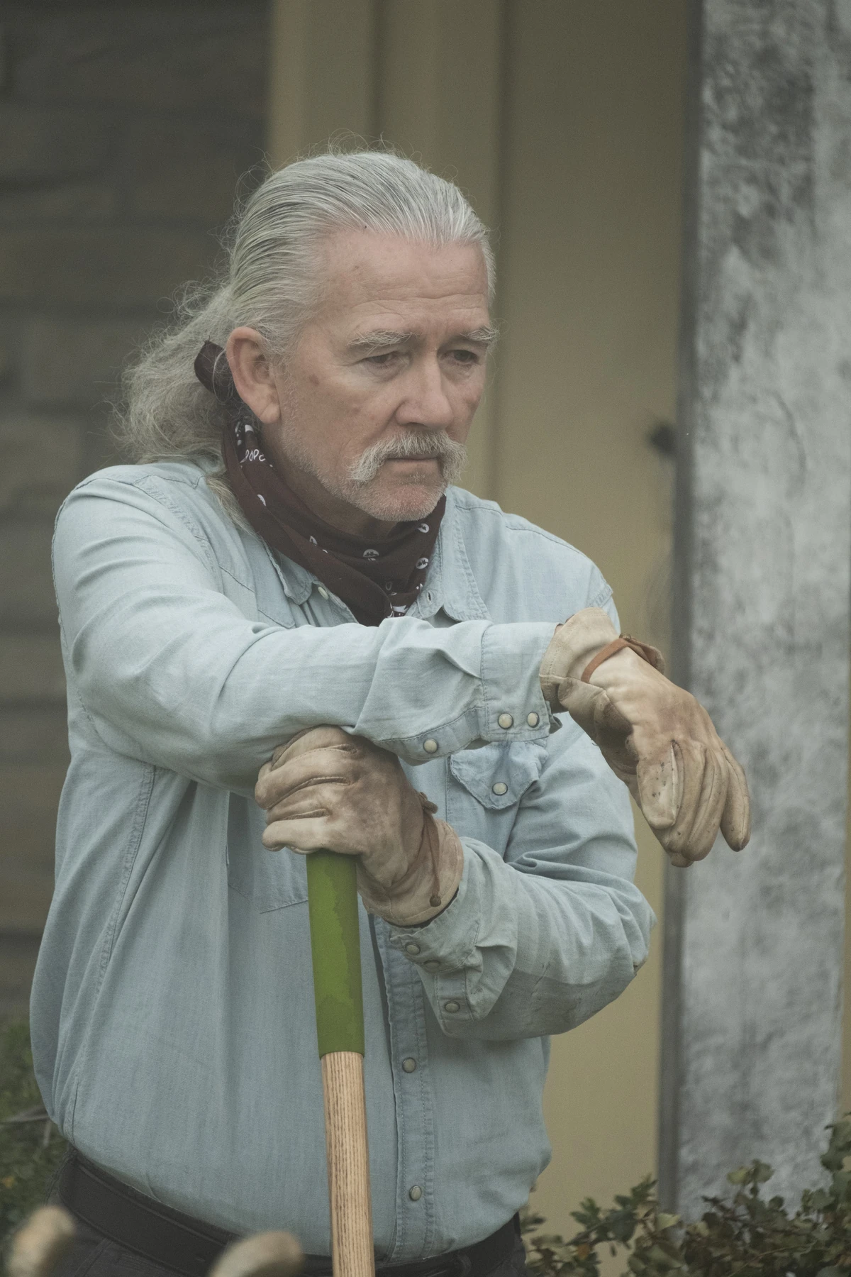 Terry Townsend | Grey's Anatomy Universe Wiki | Fandom