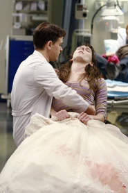 Helena Boye | Grey's Anatomy Universe Wiki | Fandom