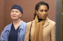 Ellis Grey | Grey's Anatomy Universe Wiki | Fandom