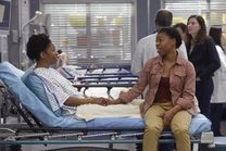 Pro Bono Surgery Day | Grey's Anatomy Universe Wiki | Fandom