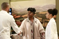 Diane Pierce | Grey's Anatomy Universe Wiki | Fandom