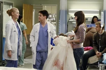 Helena Boye | Grey's Anatomy Universe Wiki | Fandom