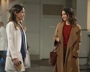 Monica Beltran | Grey's Anatomy Universe Wiki | Fandom