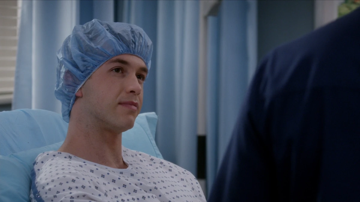 Josh Sterman | Grey's Anatomy Universe Wiki | Fandom