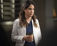Monica Beltran | Grey's Anatomy Universe Wiki | Fandom