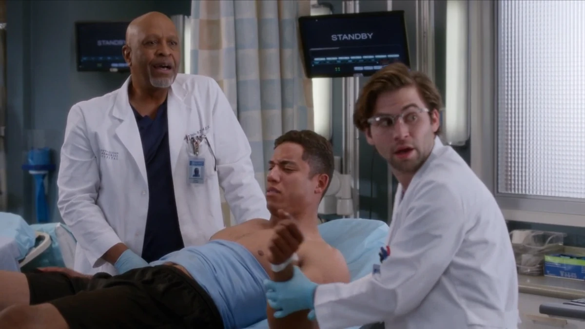 Brett | Grey's Anatomy Universe Wiki | Fandom