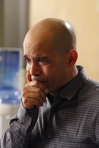 David Morris | Grey's Anatomy Universe Wiki | Fandom