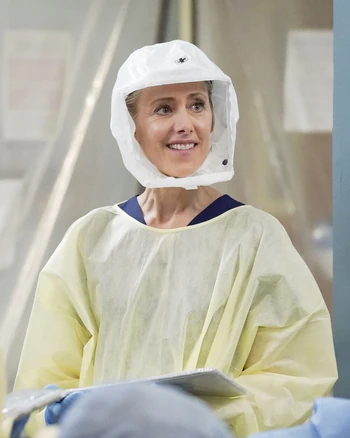 Teddy Altman | Universo Grey's Anatomy Wiki | Fandom