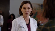 Nancy Shepherd | Universo Grey's Anatomy Wiki | Fandom