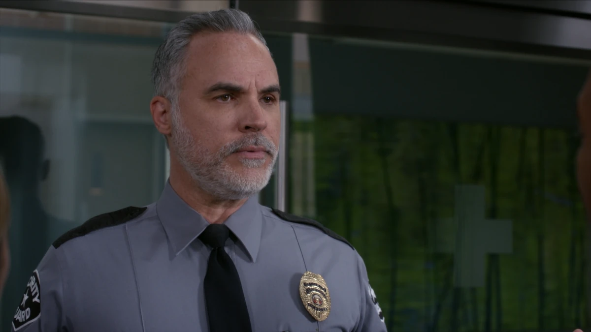 Ray Evans | Grey's Anatomy Universe Wiki | Fandom