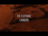 Ready to Run | Grey's Anatomy Universe Wiki | Fandom