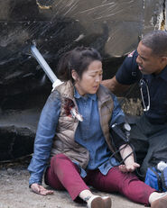 Susan | Grey's Anatomy Universe Wiki | Fandom