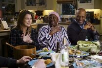 Diane Pierce | Grey's Anatomy Universe Wiki | Fandom