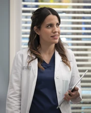 Monica Beltran | Grey's Anatomy Universe Wiki | Fandom