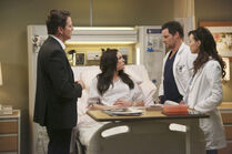 Liz Langer | Grey's Anatomy Universe Wiki | Fandom