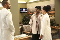 Diane Pierce | Grey's Anatomy Universe Wiki | Fandom