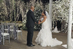 Boda De Miranda Bailey Floral Wedding Veil/embroidered Veil/flower