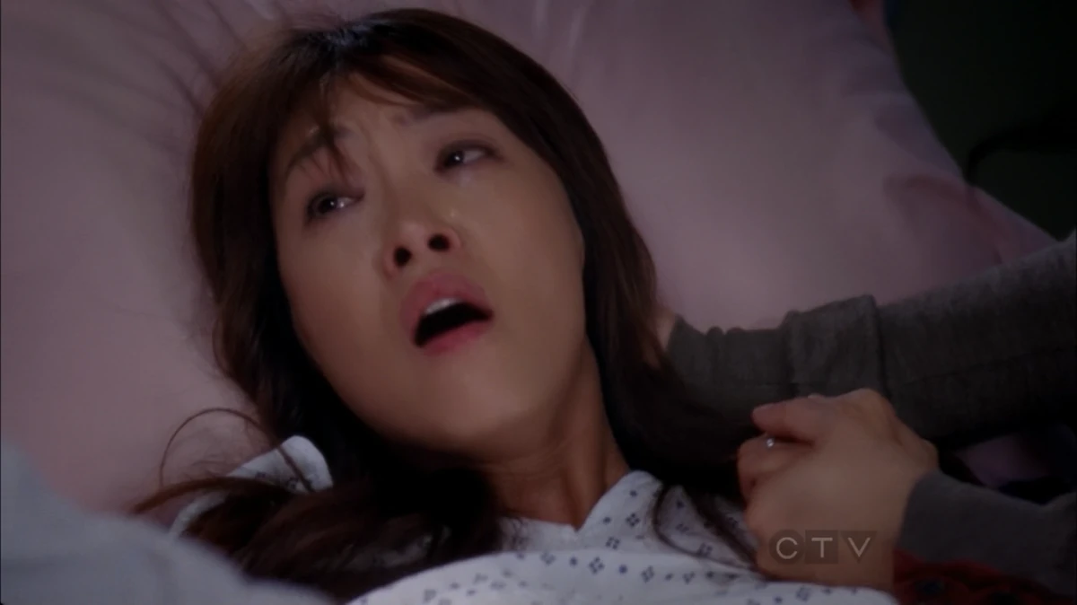 Brie | Grey's Anatomy Universe Wiki | Fandom