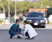 Addison Forbes Montgomery | Grey's Anatomy Wiki | Fandom