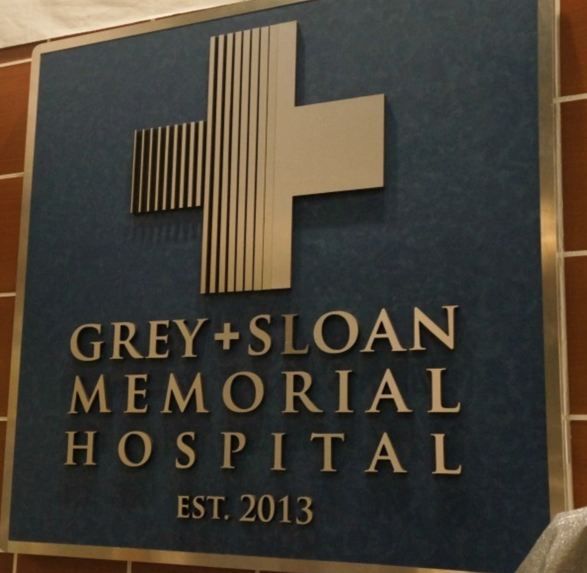 Grey Sloan Memorial Hospital | Grey's Anatomy Wiki | Fandom