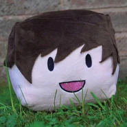 Grian Merch Store | Grian Wiki | Fandom