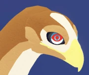 Eyes/Pupils | Griffin's Destiny Wiki | Fandom